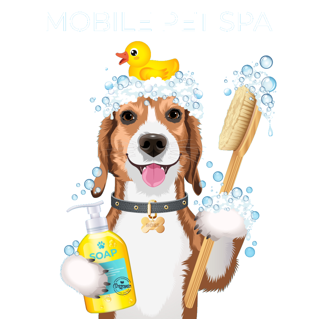 Mobile Pet Grooming in Vaughan & King City | Mobile Pet Spa